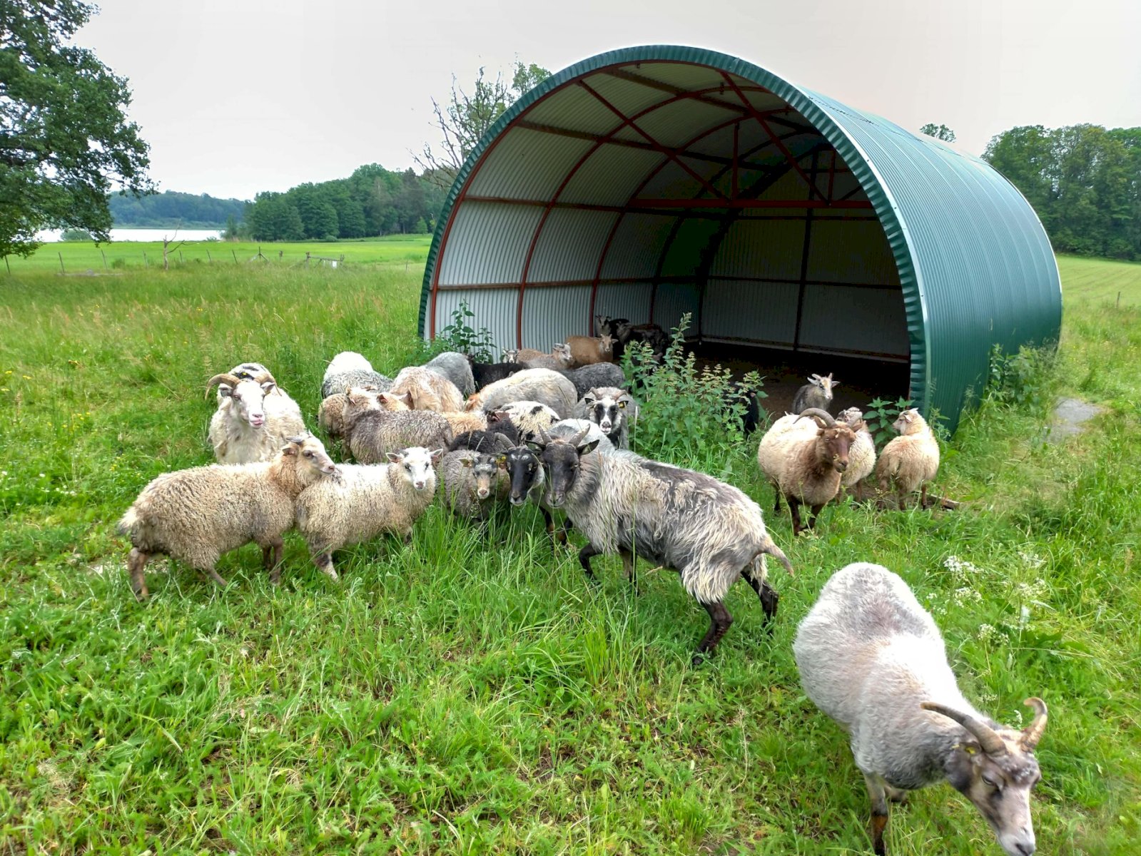 Huts for different usage